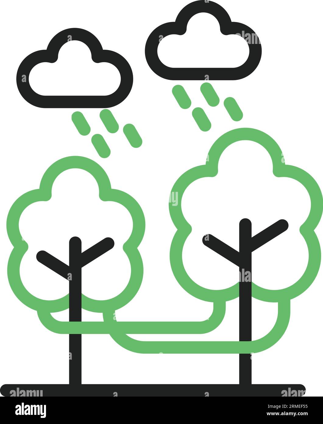 Tropical forest amazon Cut Out Stock Images & Pictures - Alamy