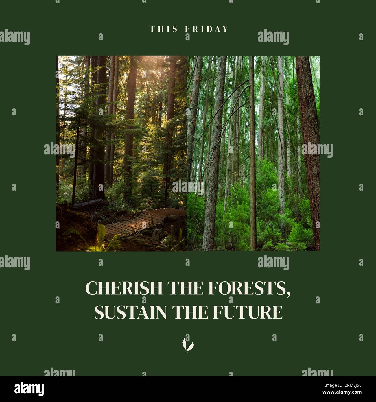 This friday, cherish the forests, sustain the future text and tree trunks growing in woodland ...