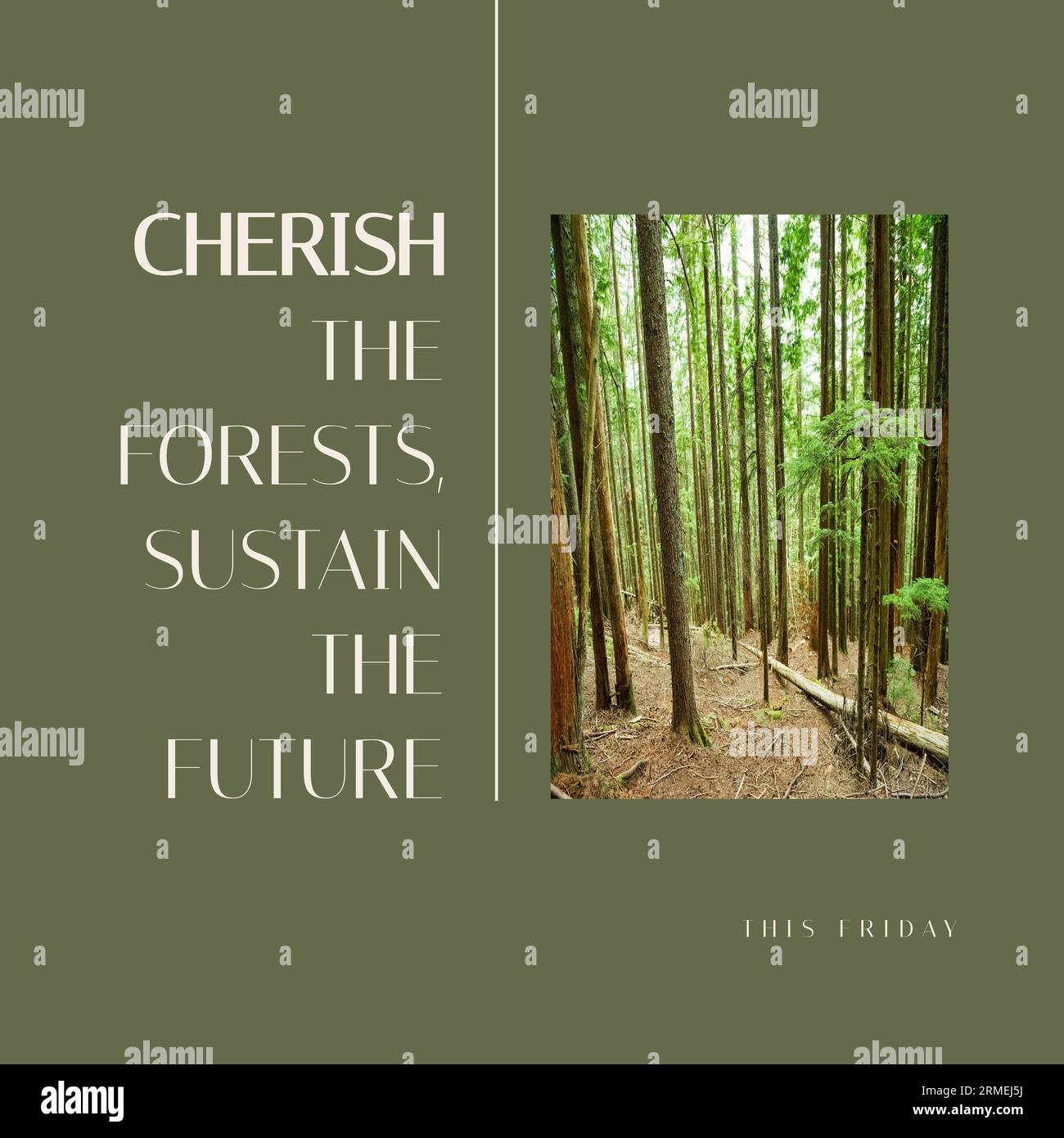 This friday, cherish the forests, sustain the future text and tree ...