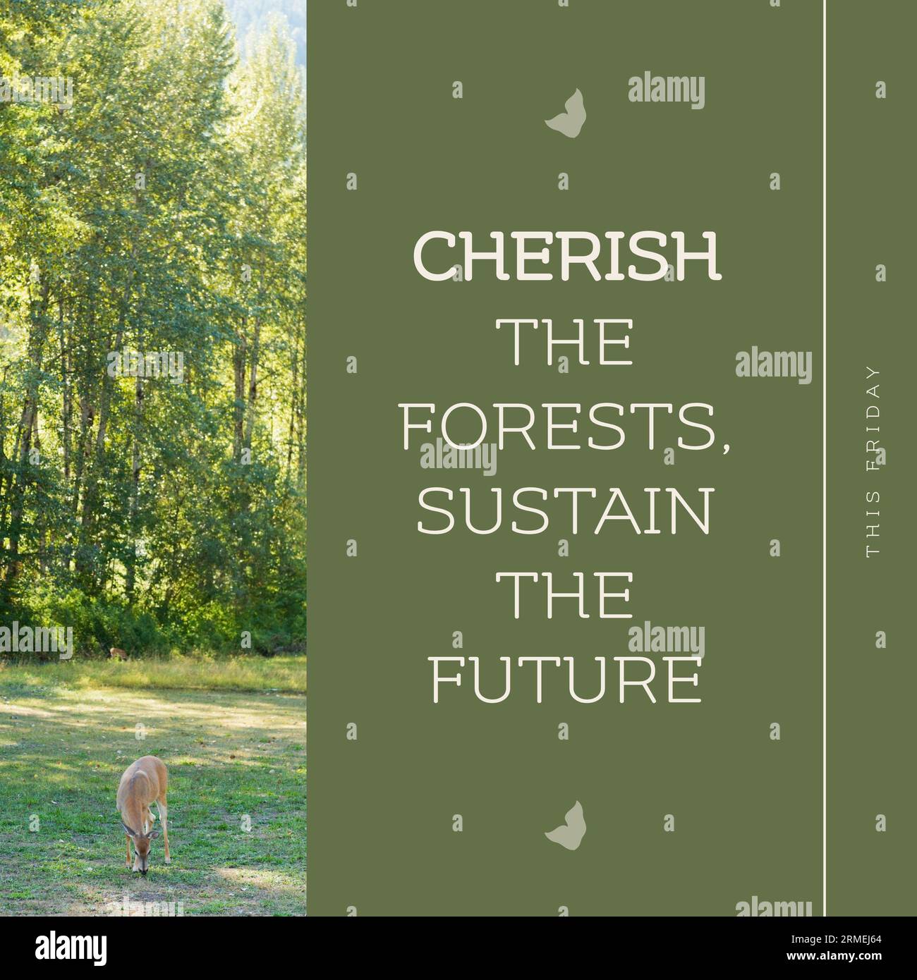 This friday, cherish the forests, sustain the future text and deer ...