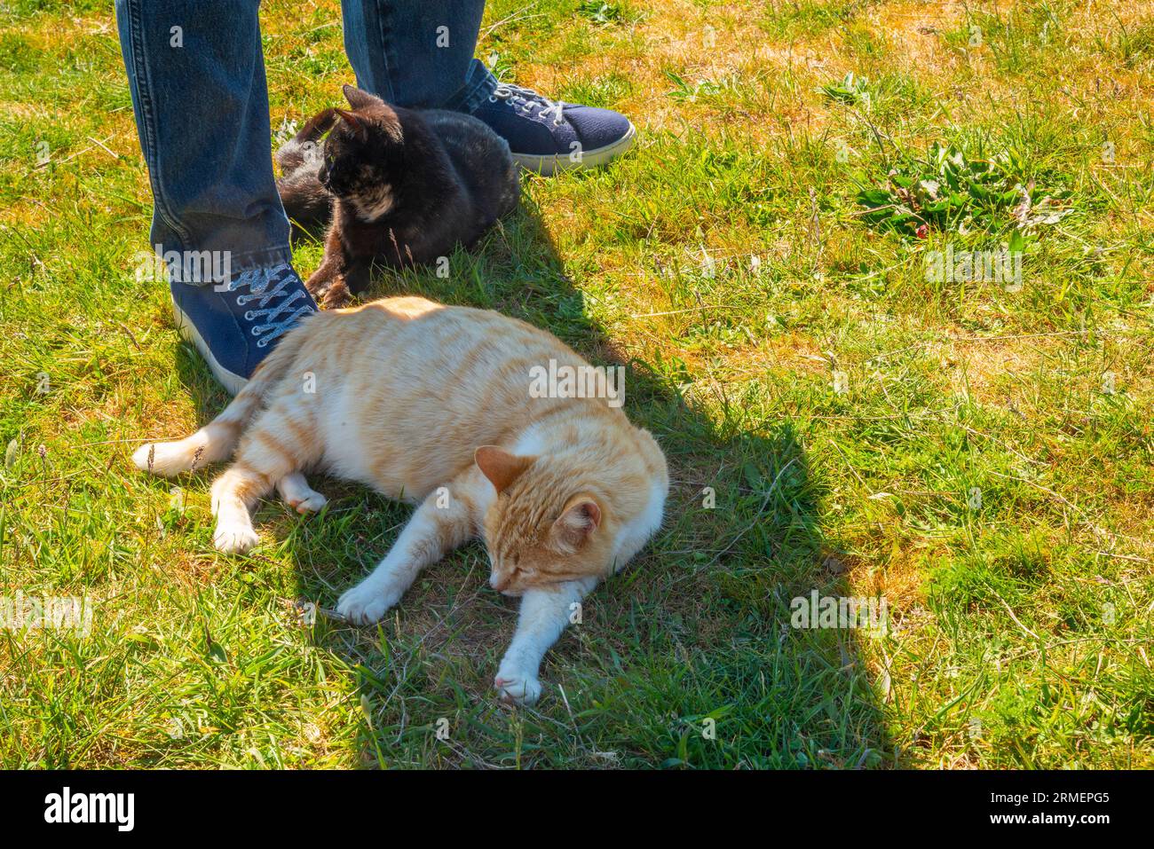 Hombre sombra hi-res stock photography and images - Alamy