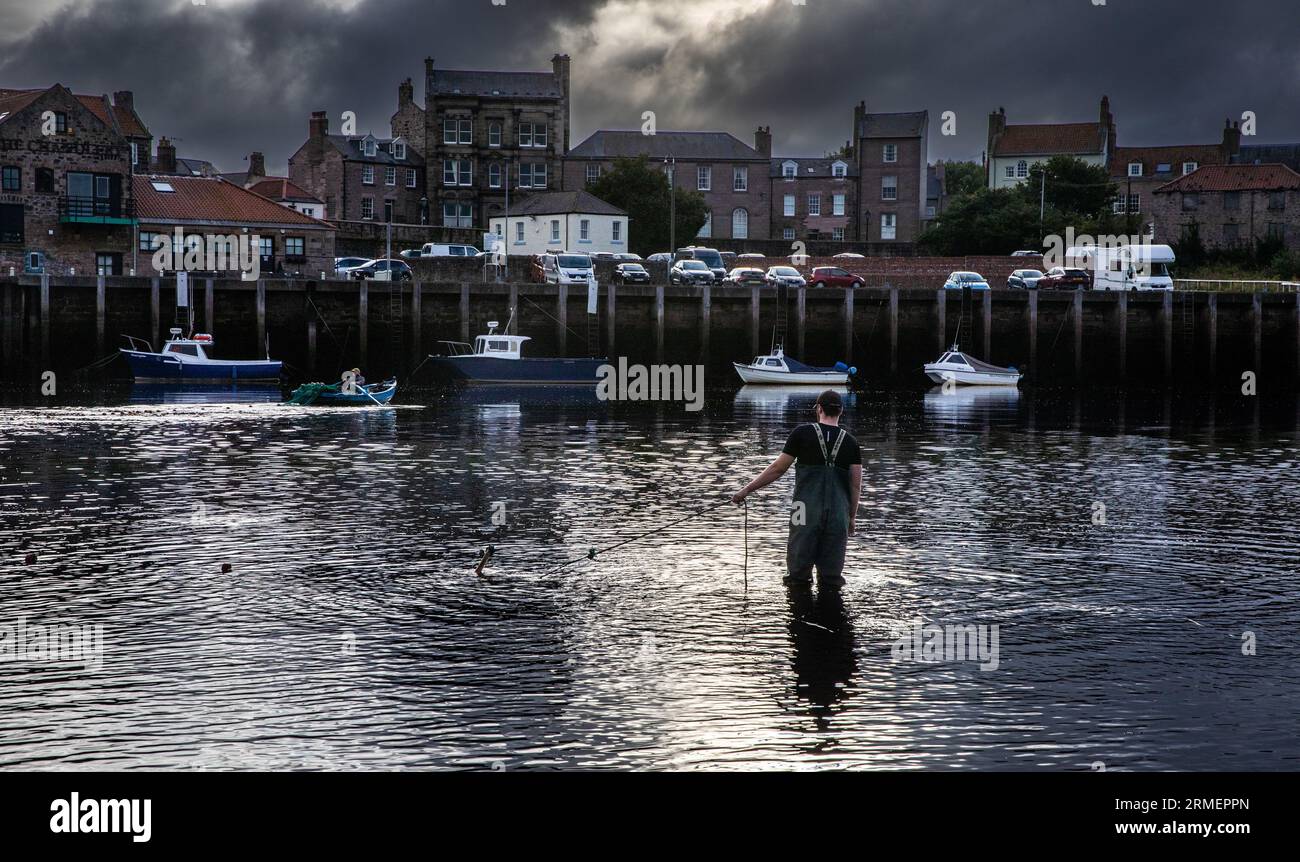 Traditional salmon fishermen fishing at the mouth of the River Tweed ...
