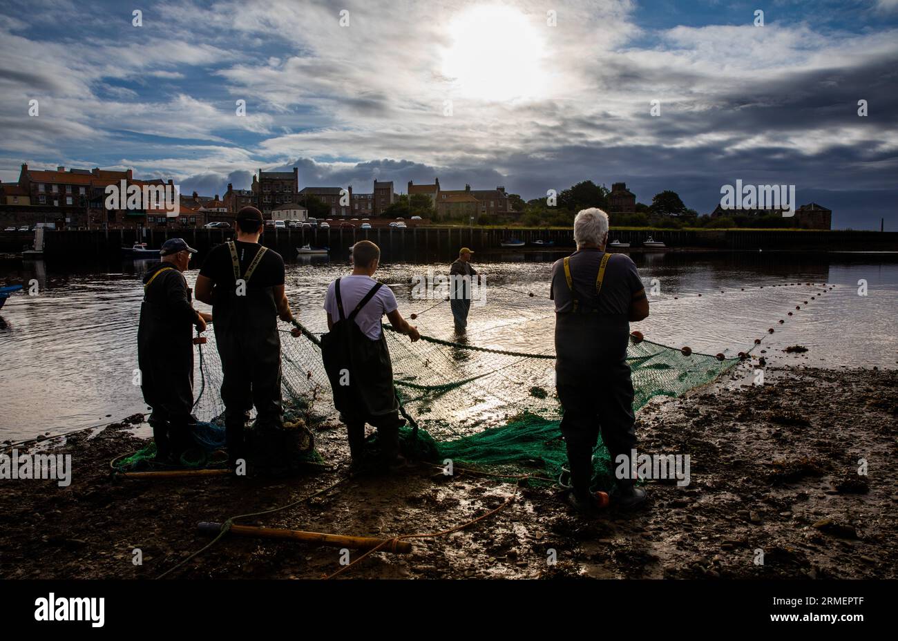 Traditional salmon fishermen fishing at the mouth of the River Tweed ...