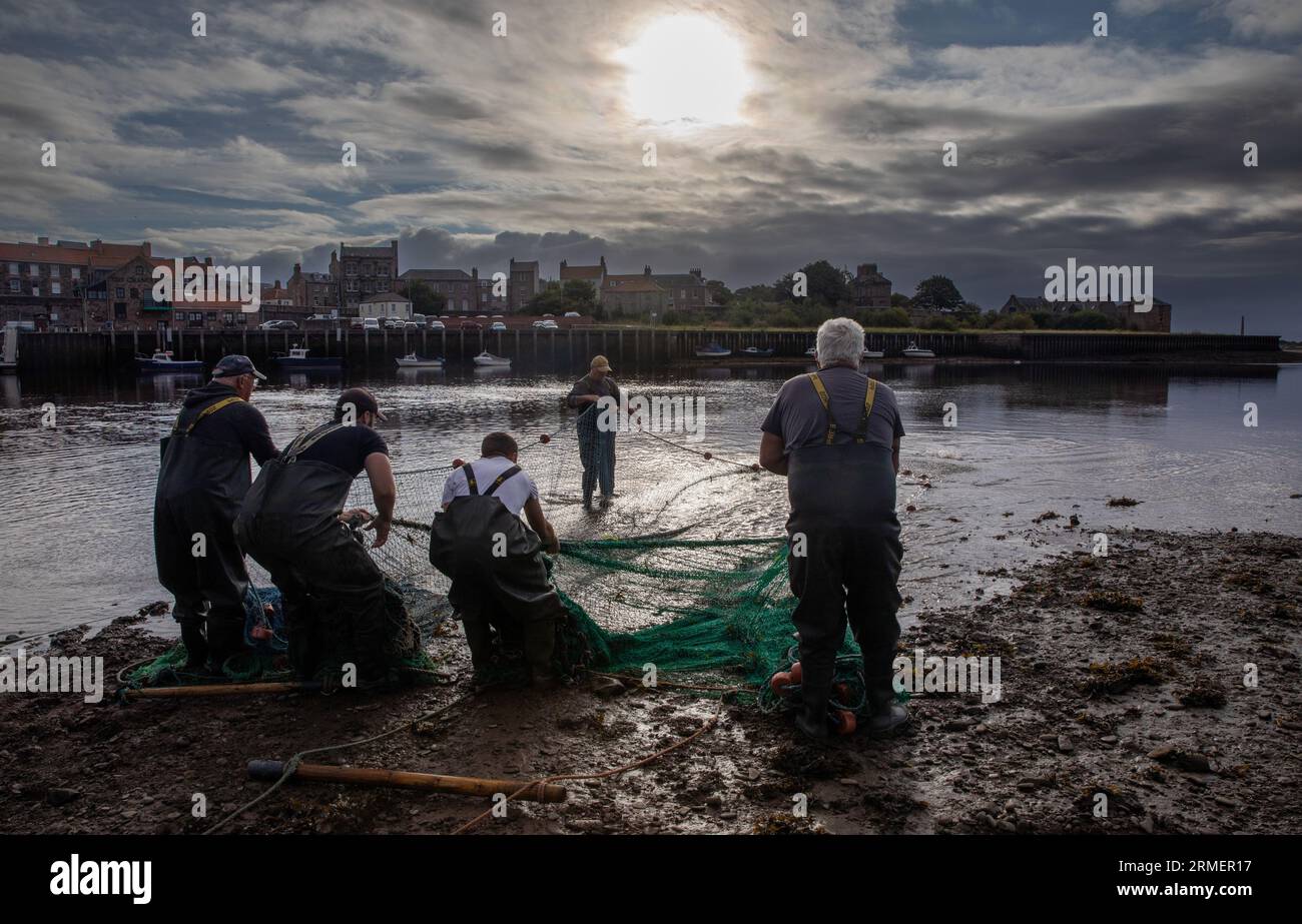 Traditional salmon fishermen fishing at the mouth of the River Tweed ...