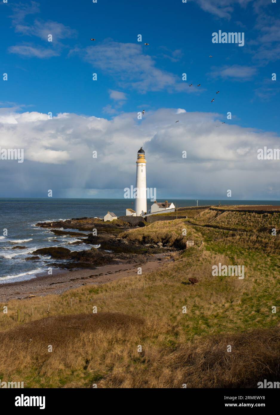 Scurdie ness lighthouse hi-res stock photography and images - Alamy