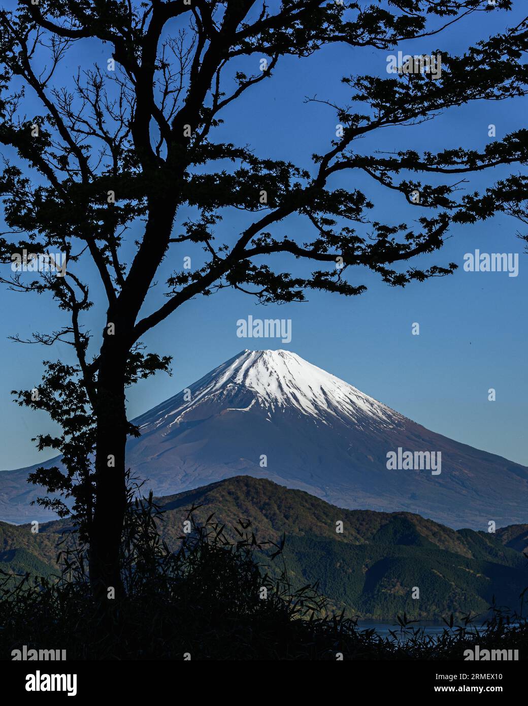 Vertical photography of mount fuji and a beautifull silhouette of a ...