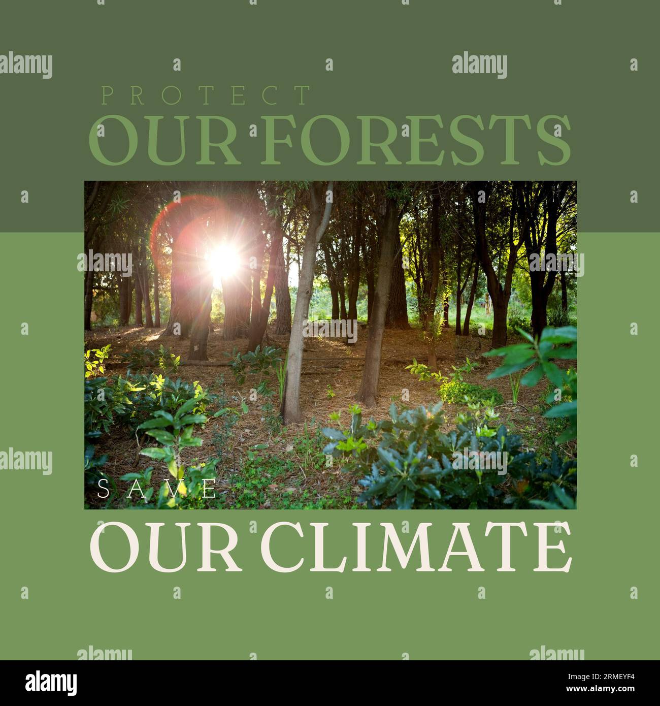 Composite of protect our forests and save our climate text and sun ...