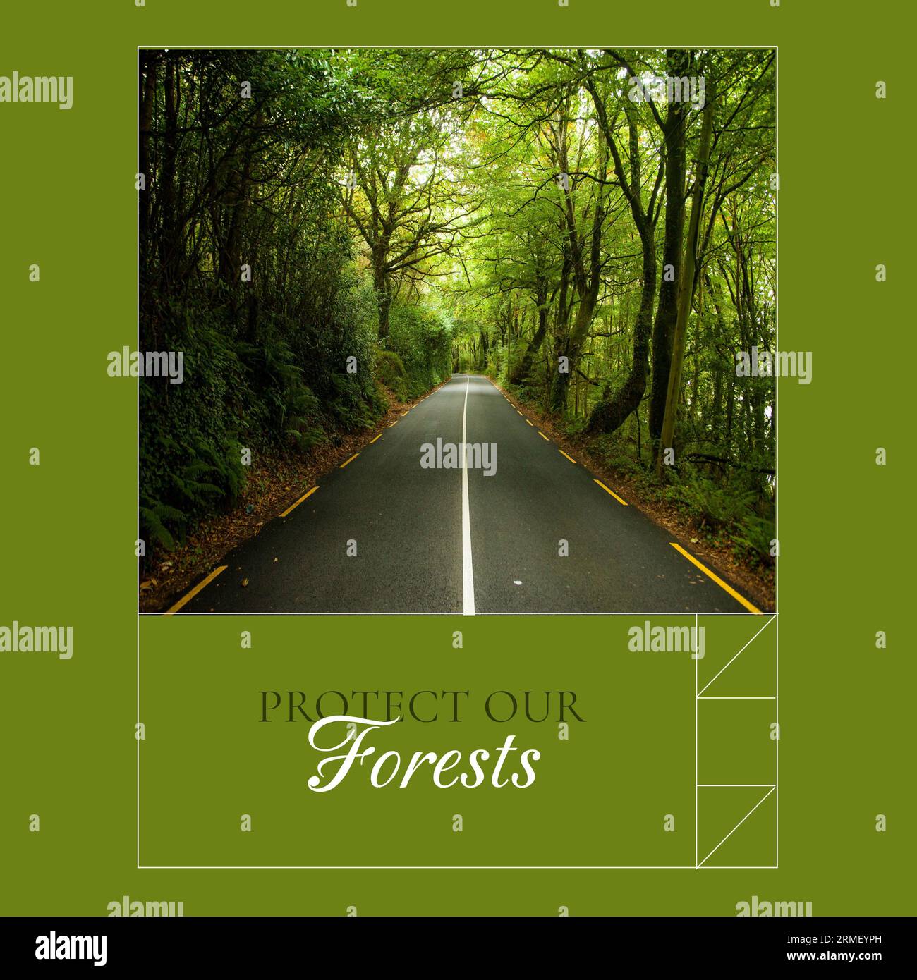Composite of protect our forests text and idyllic view of empty road ...