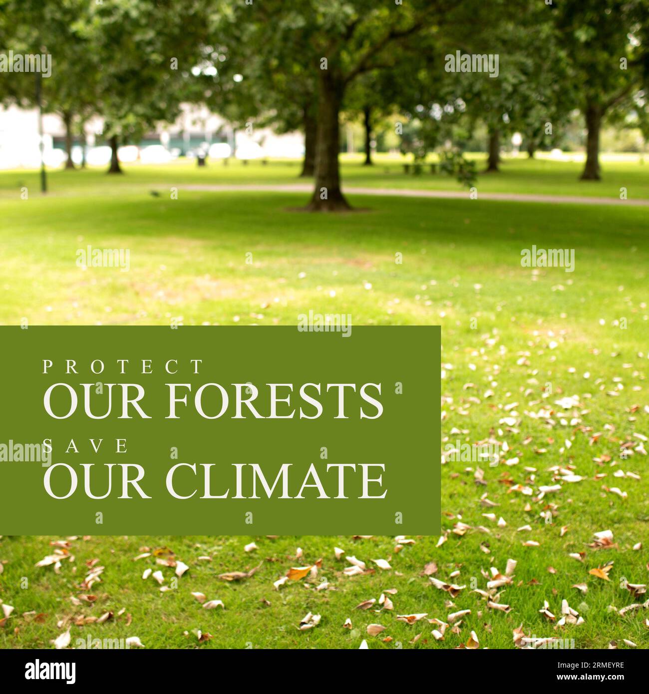 Composite of protect our forests and save our climate text and trees ...