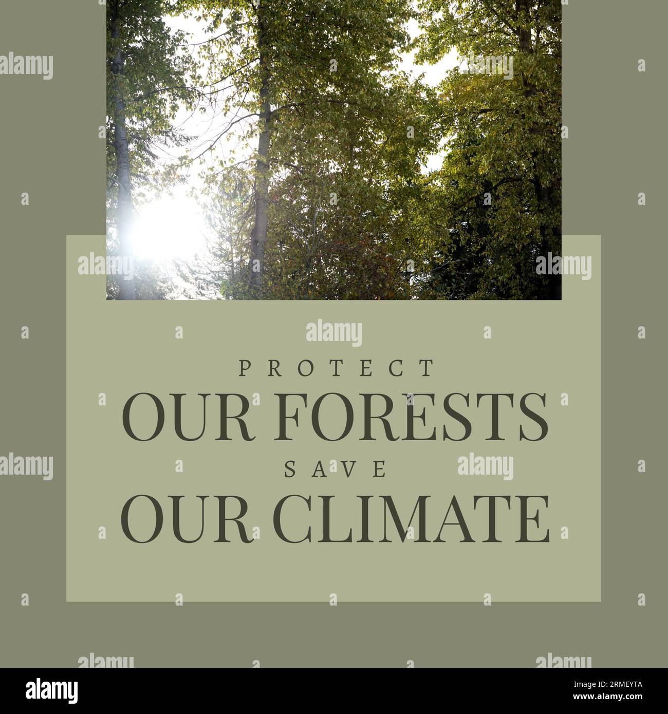 Composite of protect our forests and save our climate text and sun ...