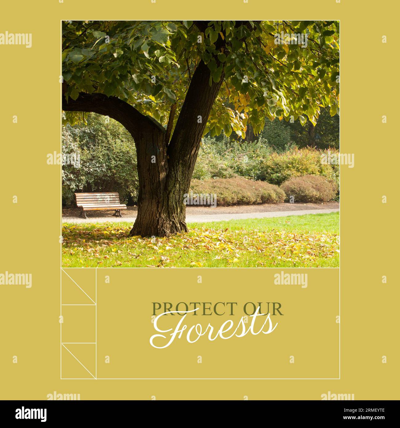 Composite of protect our forests text and tranquil view of trees ...