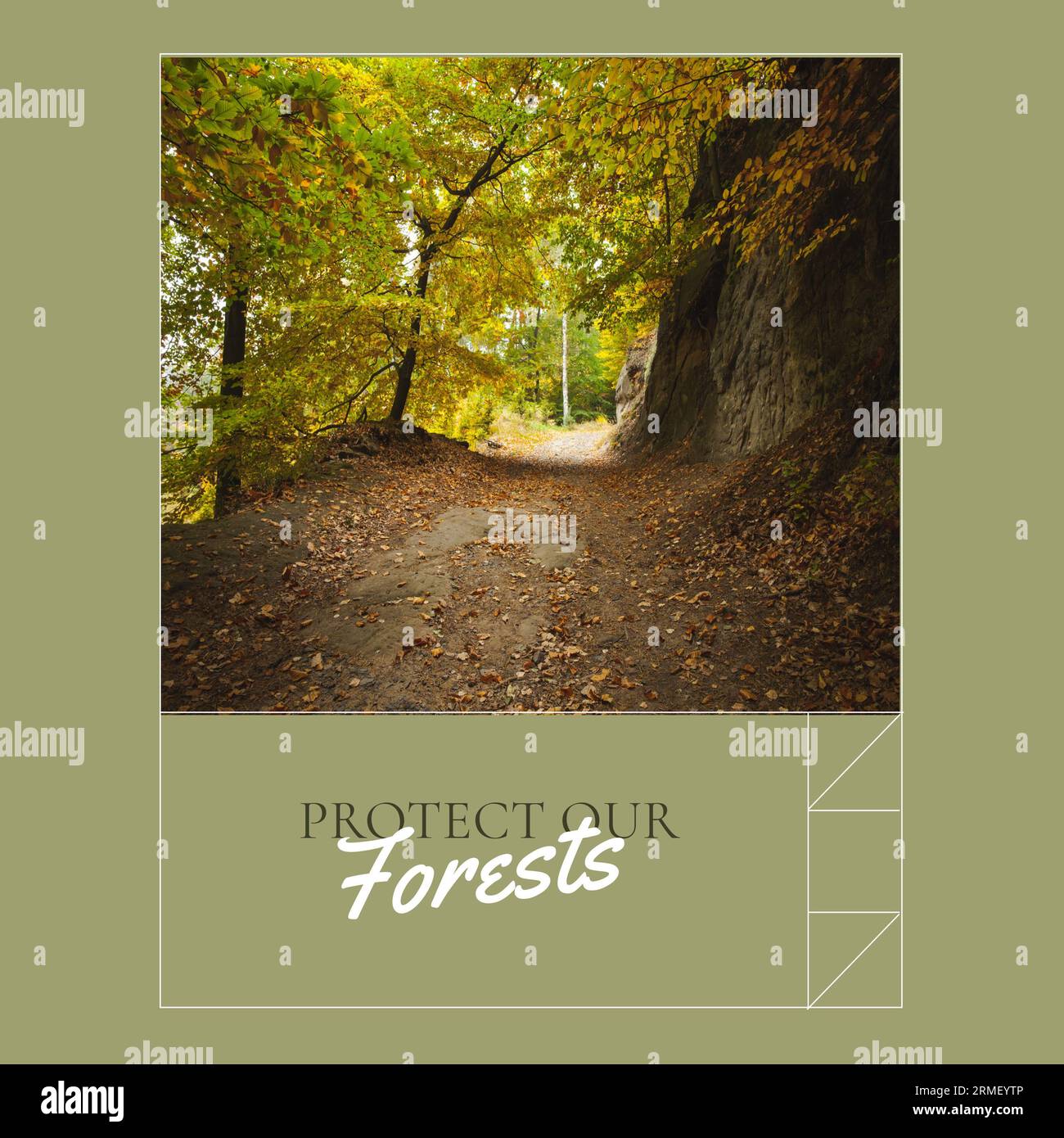 Composite of protect our forests text and idyllic view of trees growing ...