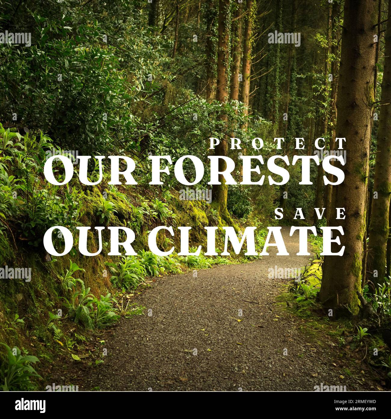 Composite of protect our forests and save our climate text and lush ...
