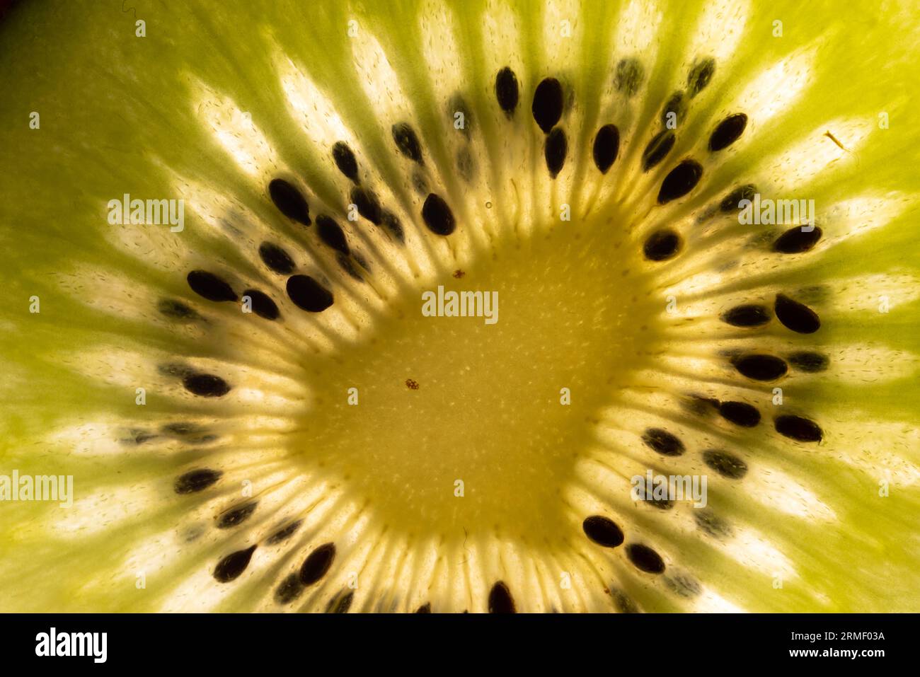 Micro fruit hi-res stock photography and images - Alamy