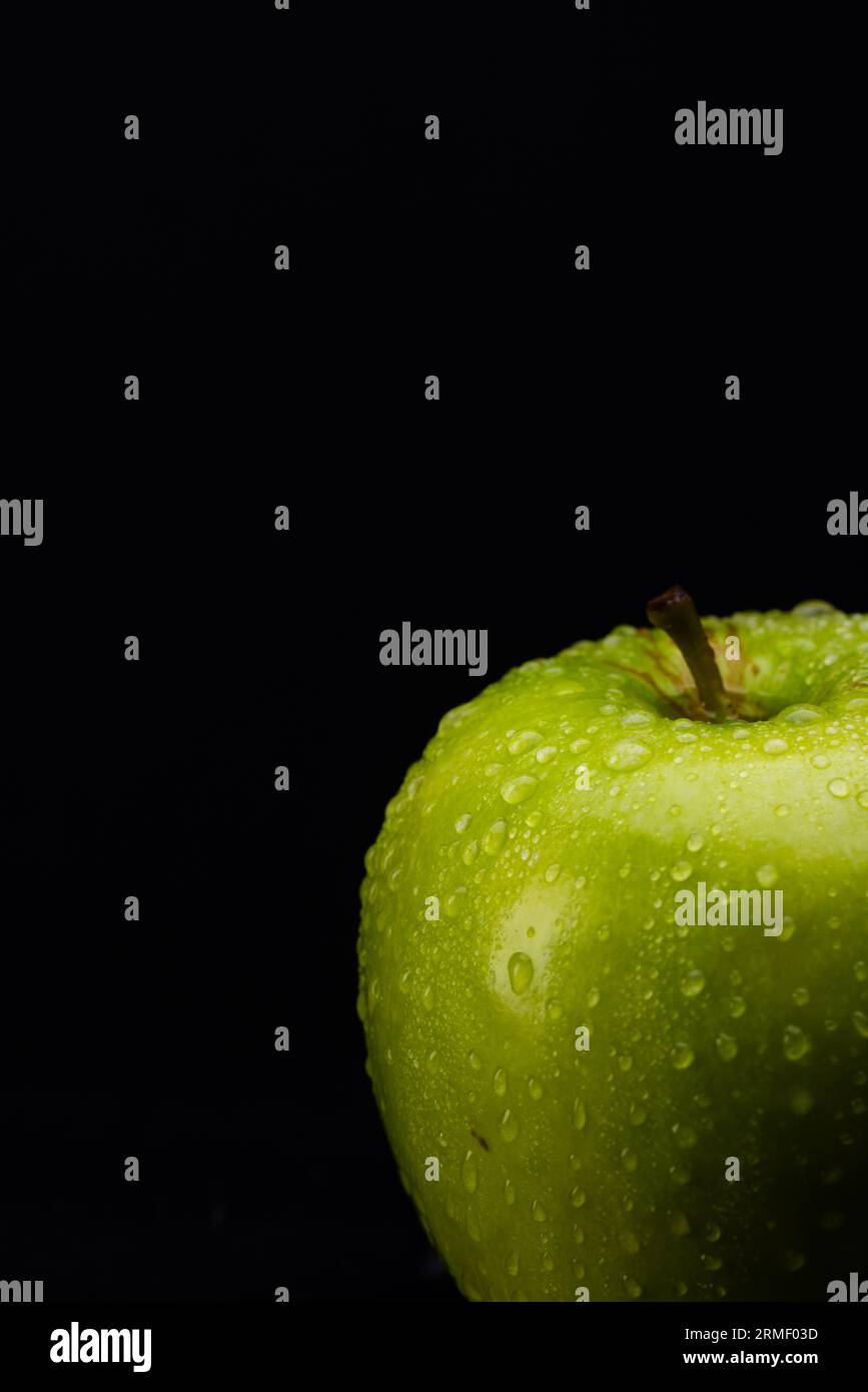 Micro close up of green apple with water drops and copy space on black ...