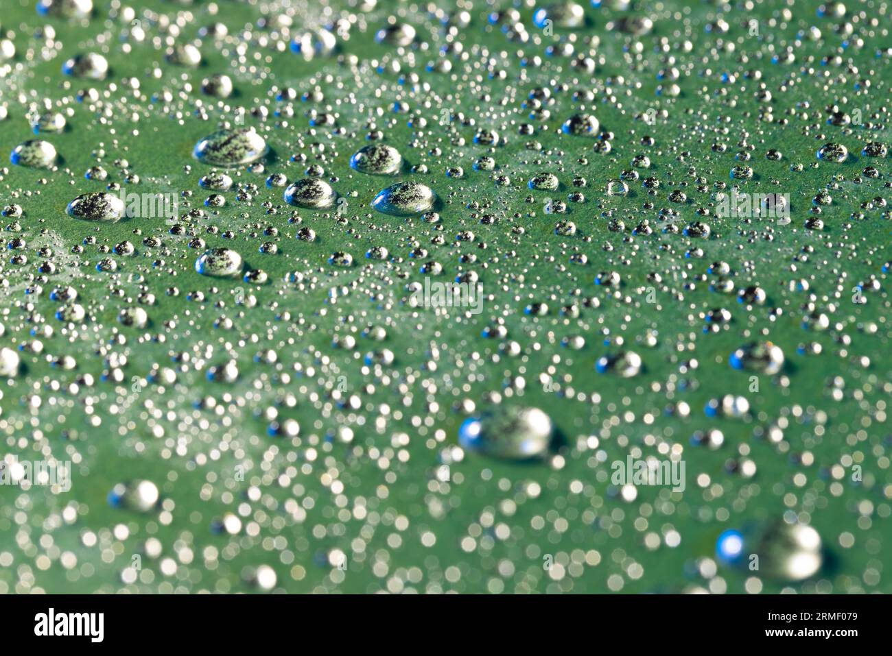 Micro close up of water drops with copy space on green background Stock ...
