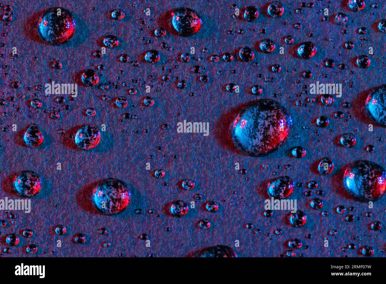 Micro close up of water drops with copy space on purple background ...