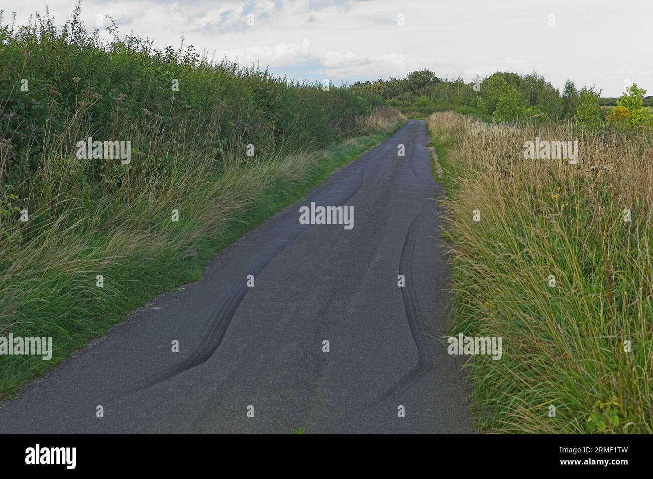 Vehicle skid marks on a rural road. Rural roads see 70% more fatalities ...