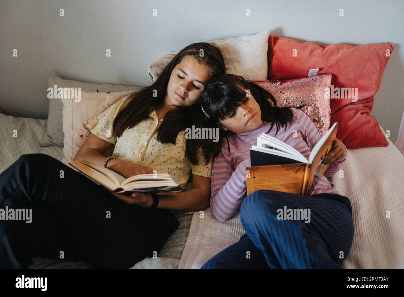 Books and bonding hi-res stock photography and images - Alamy