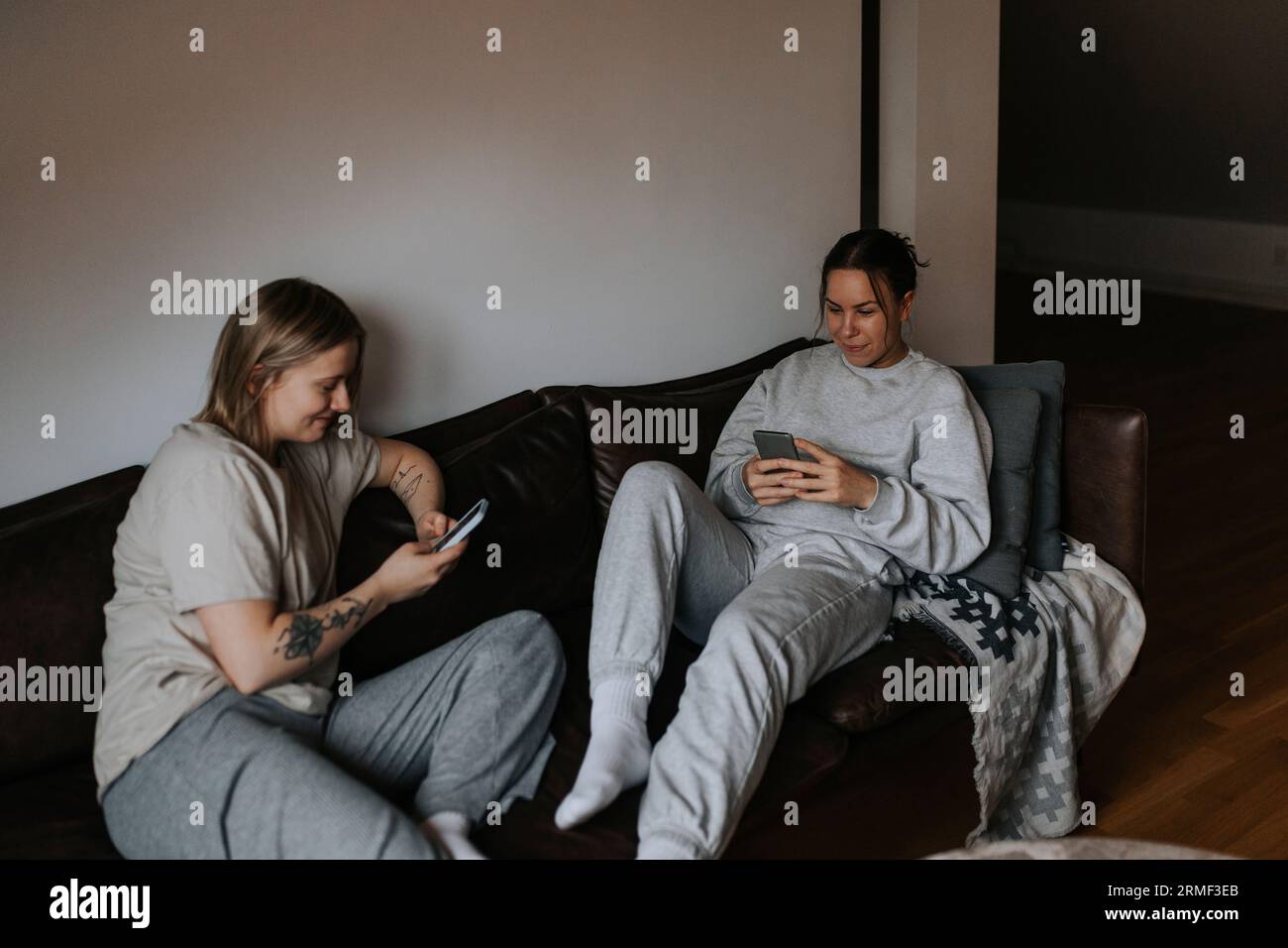 Female couple sitting together on sofa and using cell phones Stock ...