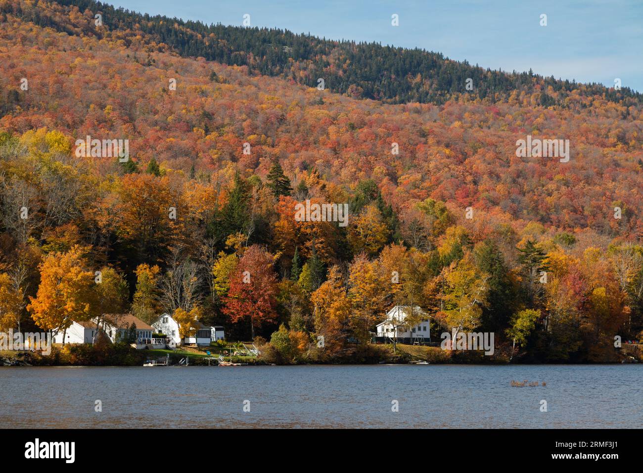 Elmore lake hi-res stock photography and images - Alamy