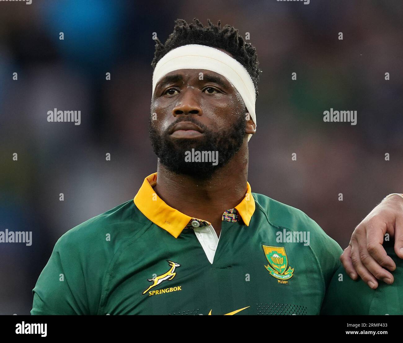 Siya kolisi springboks rugby hi-res stock photography and images - Alamy
