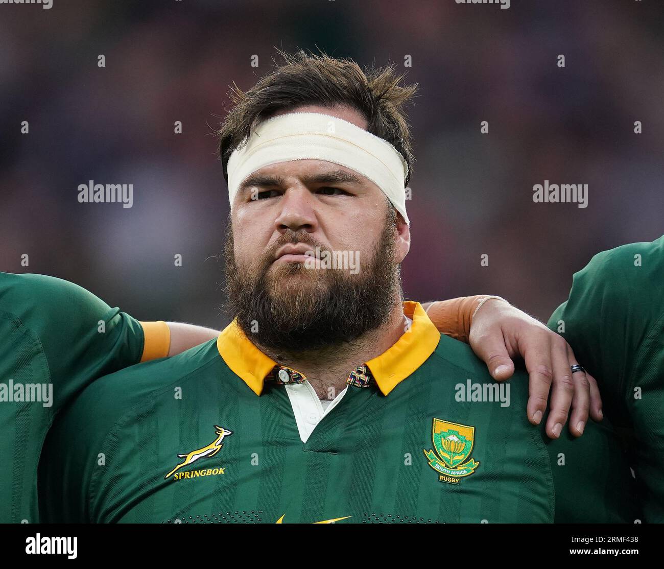Frans malherbe springboks hi-res stock photography and images - Alamy