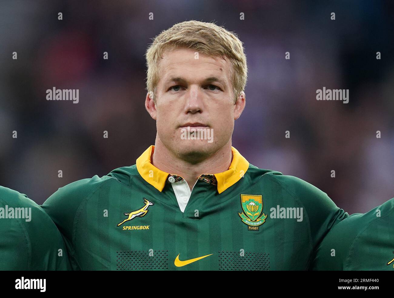 Pieter steph du toit springboks hi-res stock photography and images - Alamy
