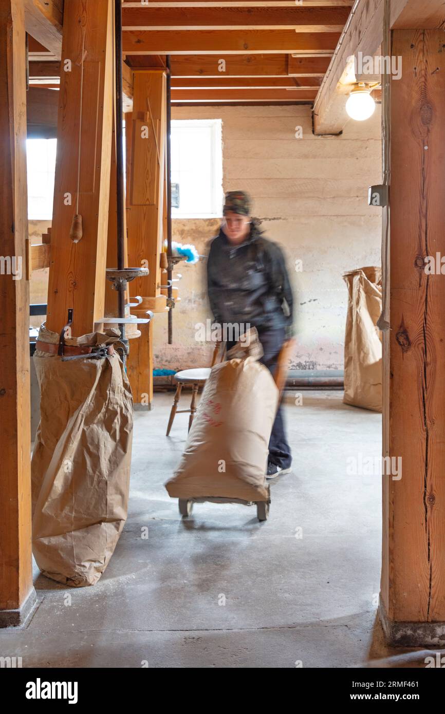 Woman in mill pushing sack on sack barrel Stock Photo - Alamy