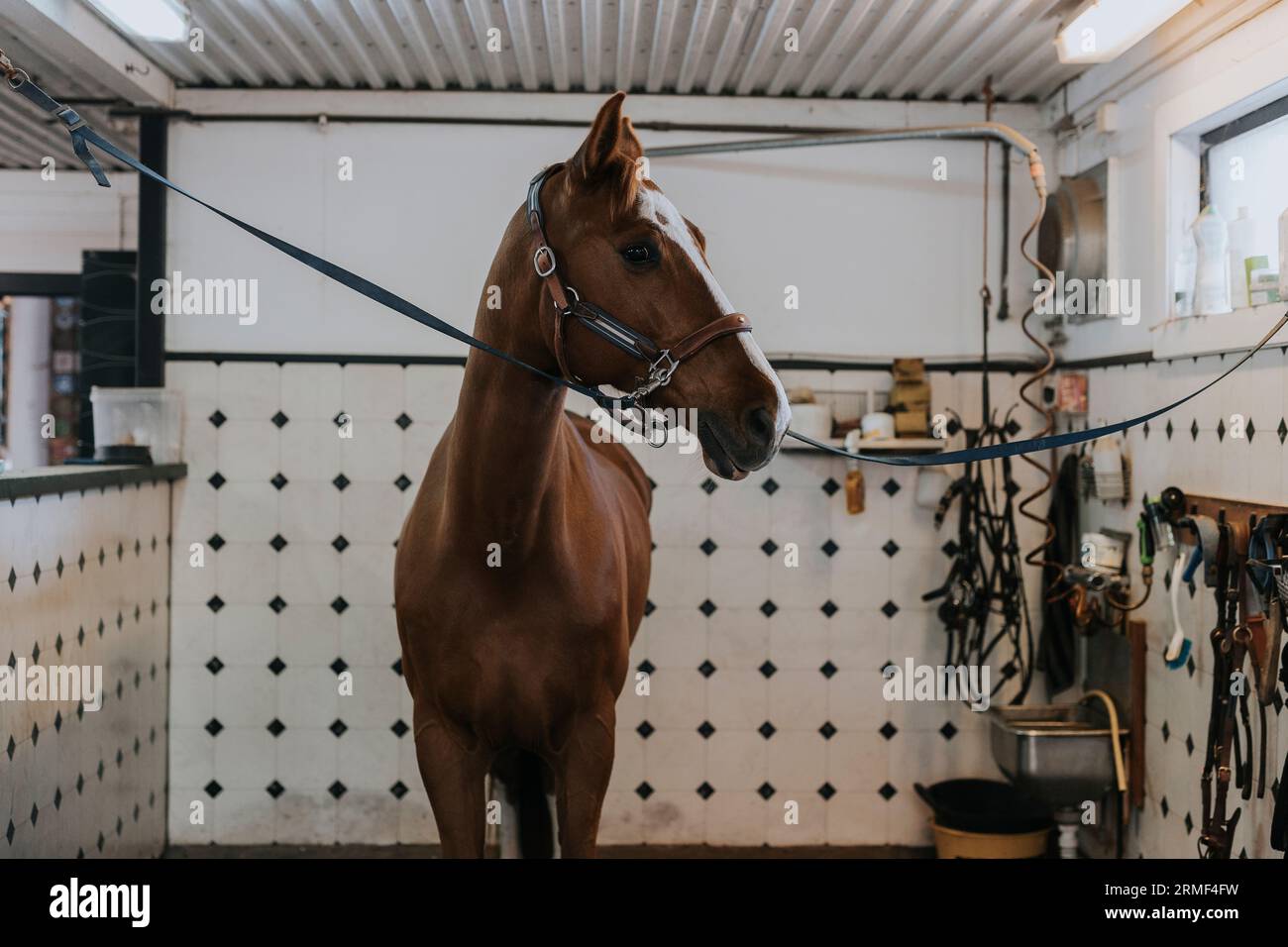 Recreation stable hi-res stock photography and images - Alamy
