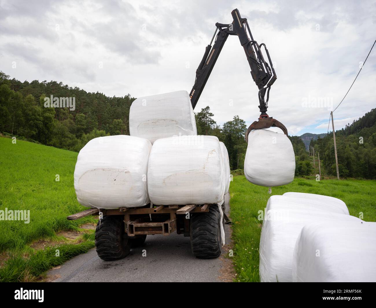 loading white grass rolls on country road in norway Stock Photo - Alamy