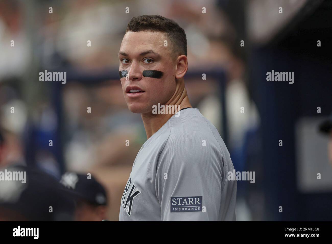 St. Petersburg, FL USA; New York Yankees designated hitter Aaron Judge ...