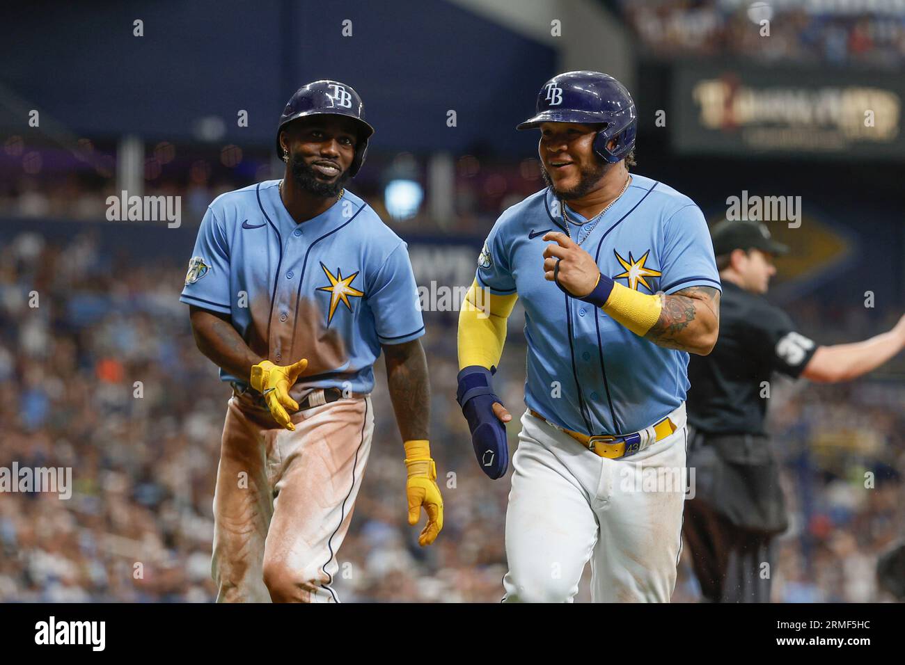 St. Petersburg, FL USA; Tampa Bay Rays designated hitter Harold Ramirez ...