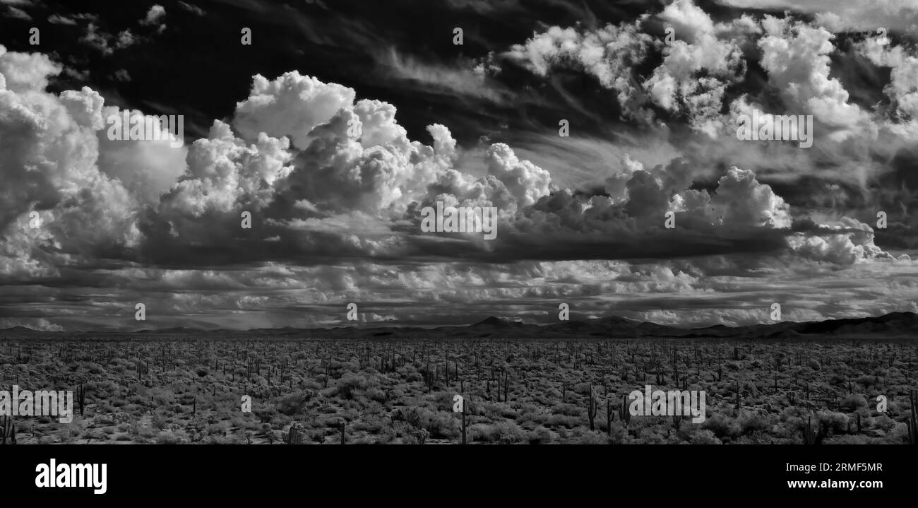 Infrared Sonora desert in central Arizona USA Stock Photo - Alamy