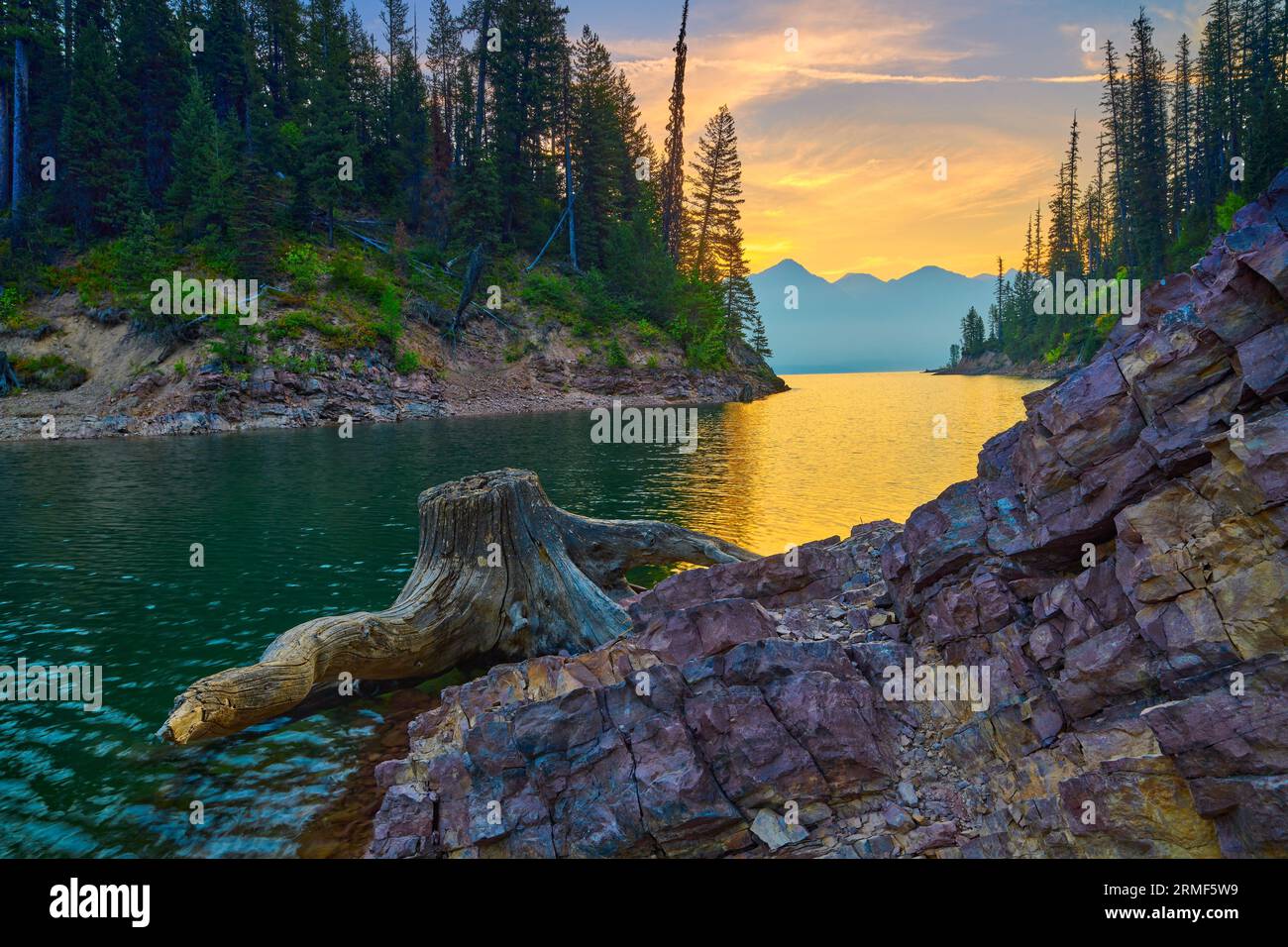 Hungry horse, montana hi-res stock photography and images - Alamy