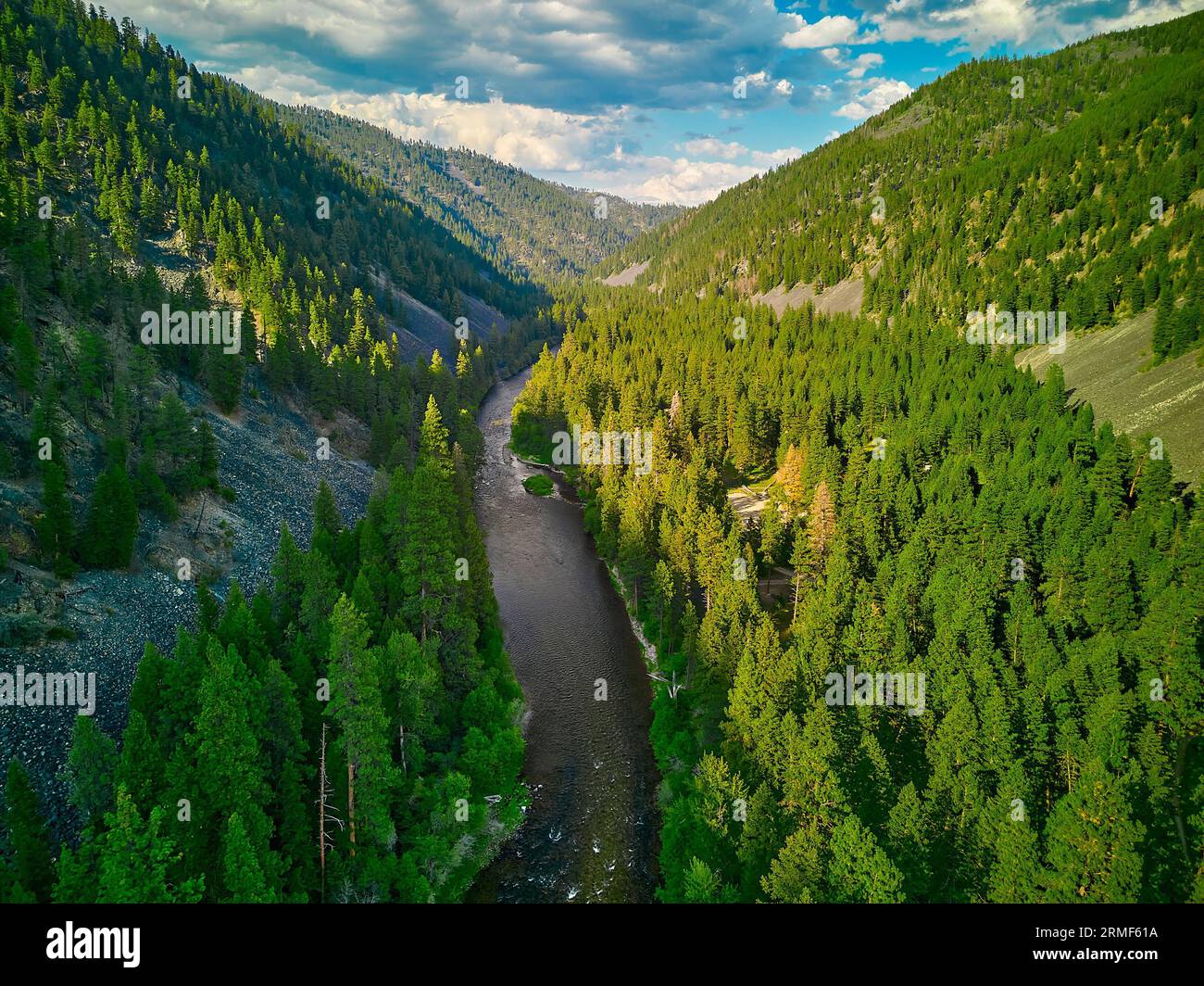 Lolo national forest hi-res stock photography and images - Alamy