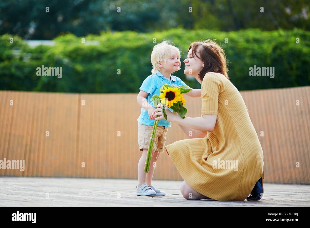 Adorable little boy offering bunch of sunflowers to his mom. Child ...