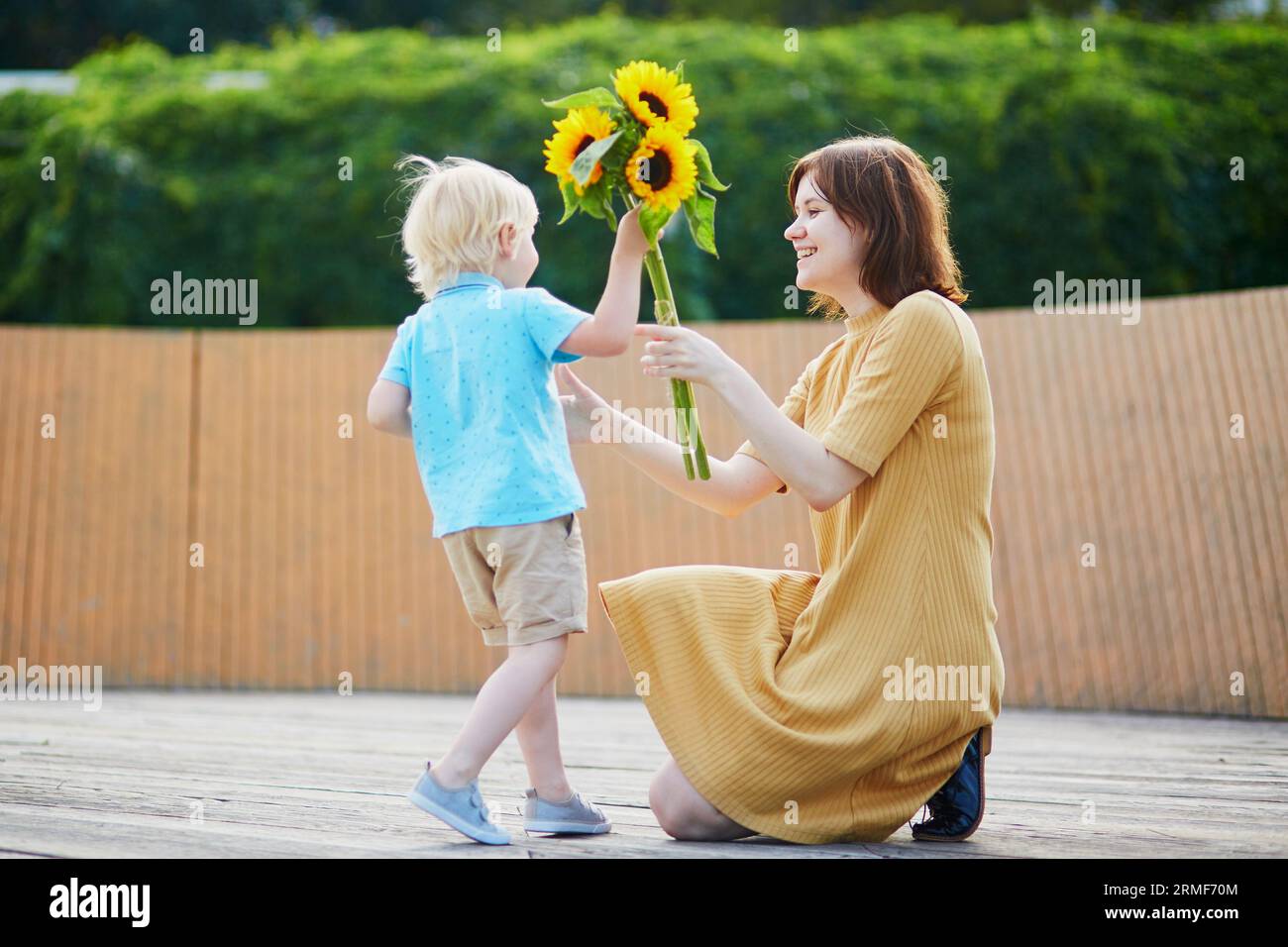 Adorable little boy offering bunch of sunflowers to his mom. Child ...