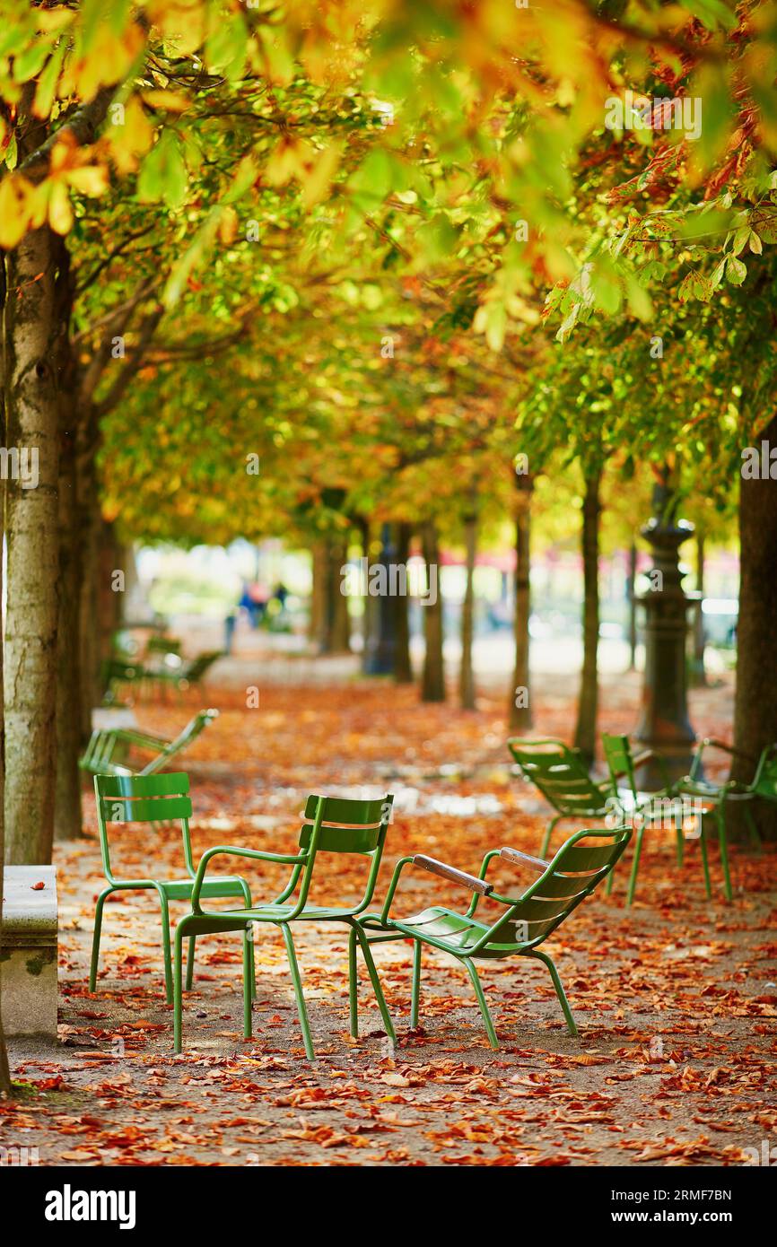 Green chairs under yellow and orange chestnut trees in Tuileries garden ...