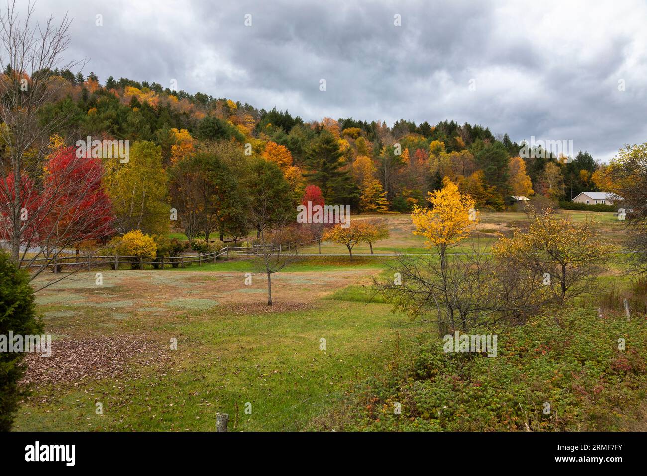 Fall fooliage, Woodbury, Vermont, USA Stock Photo - Alamy