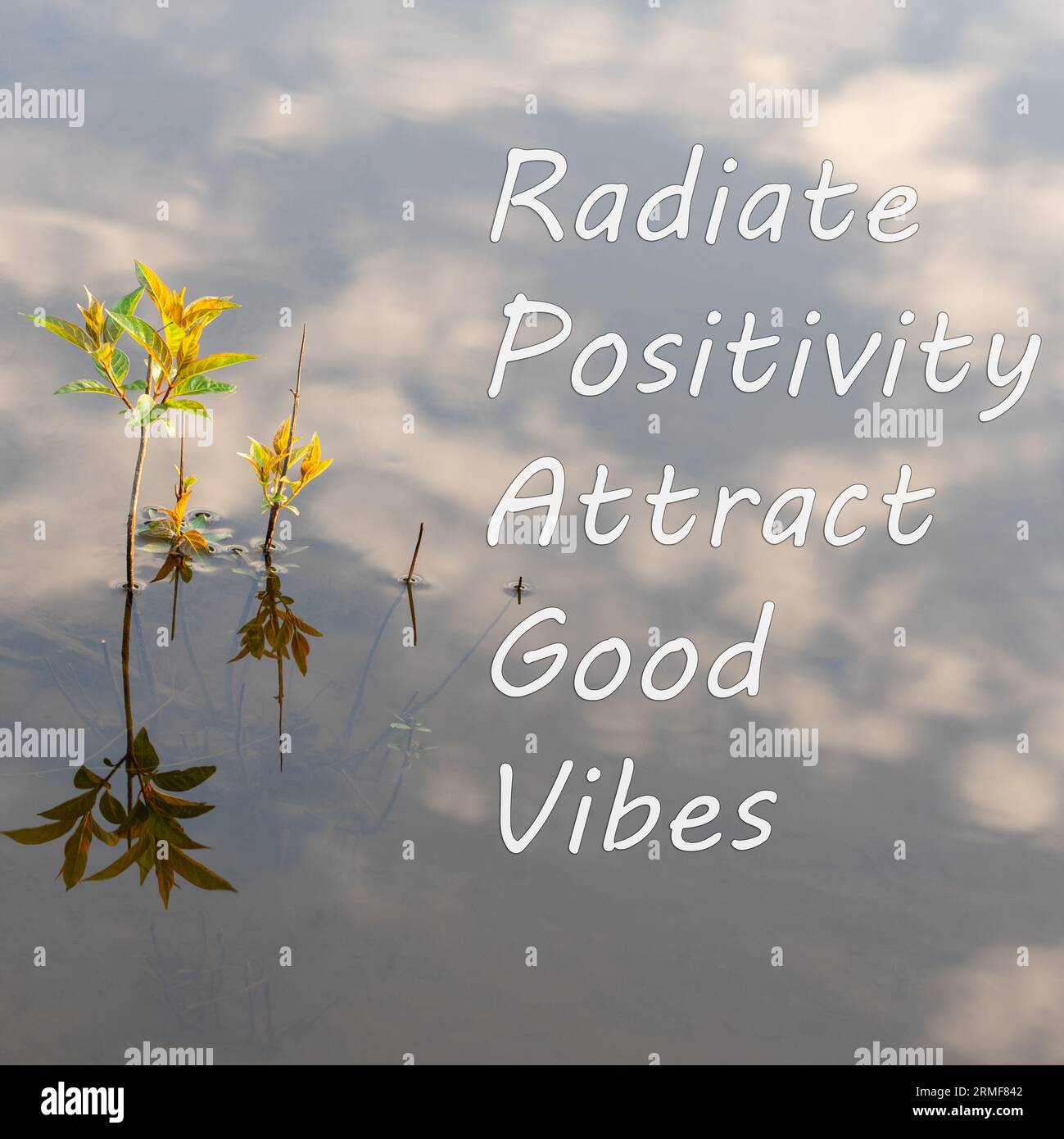 Radiate Quotes Recognize Your Own Power: 240 Quotes To Radiate
