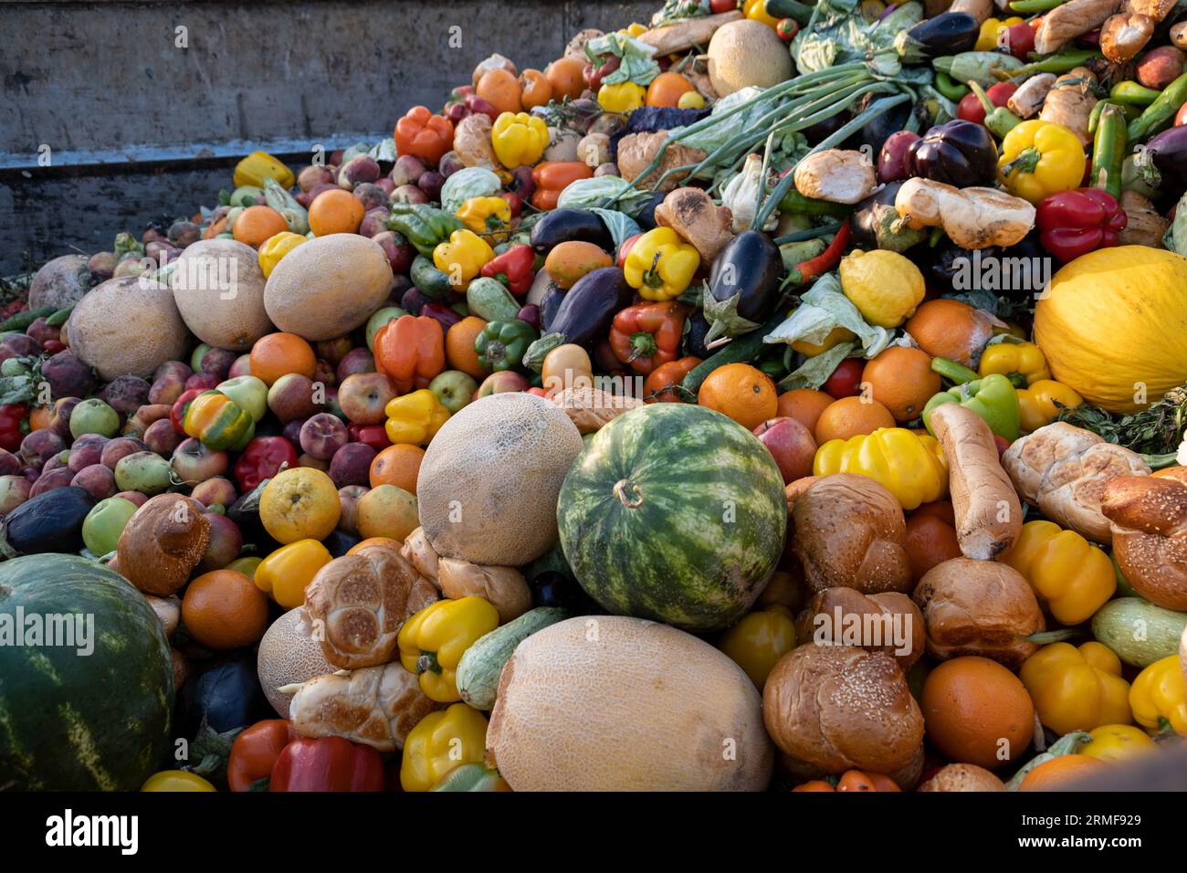 Expired Organic bio waste. Mix Vegetables and fruits in a huge ...