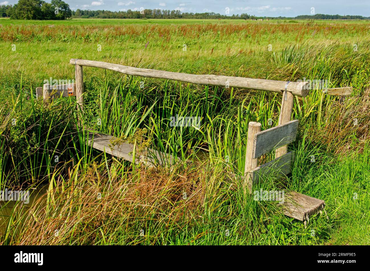 Ditch weed hi-res stock photography and images - Alamy