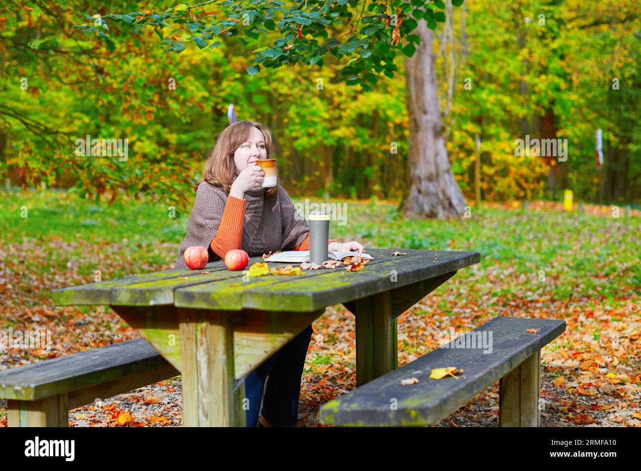 Girl having a picnic in park on a fall day and reading a book Stock ...