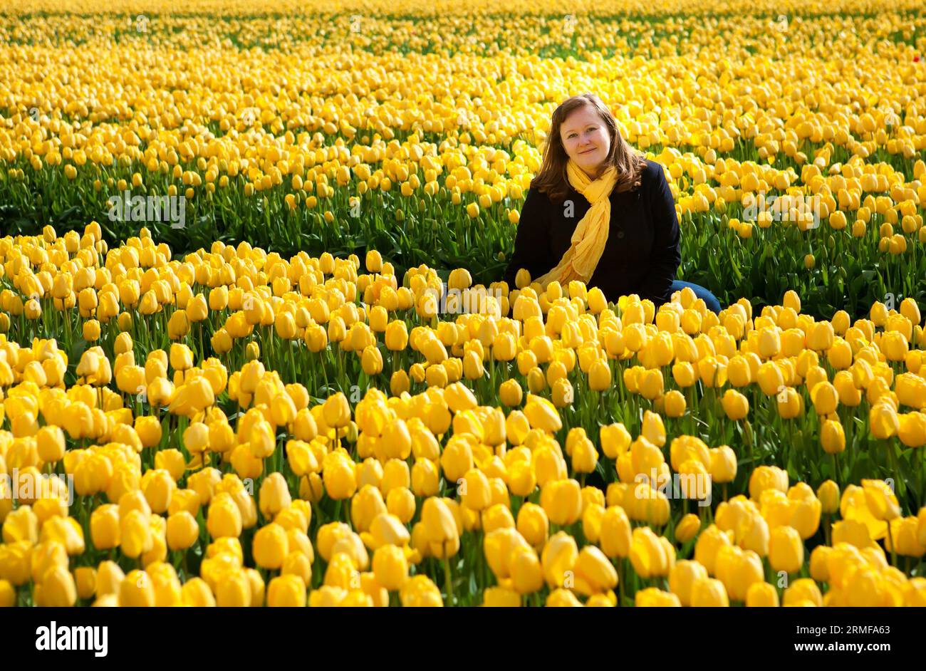 Flower girl in holland hi-res stock photography and images - Alamy