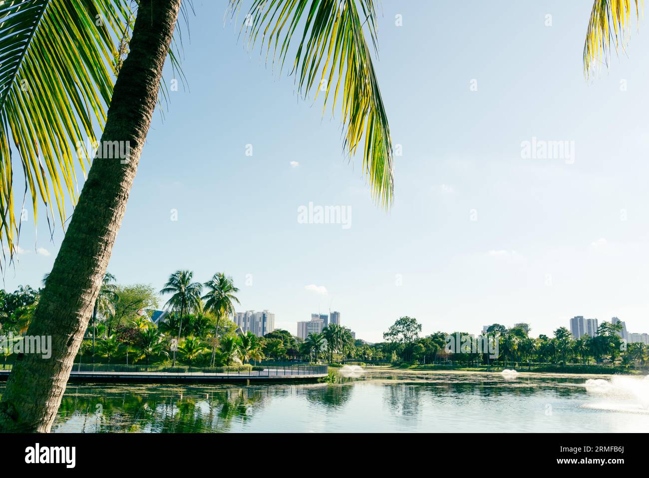 Taman Tasik Titiwangsa park, lake and palm tree in Kuala Lumpur ...