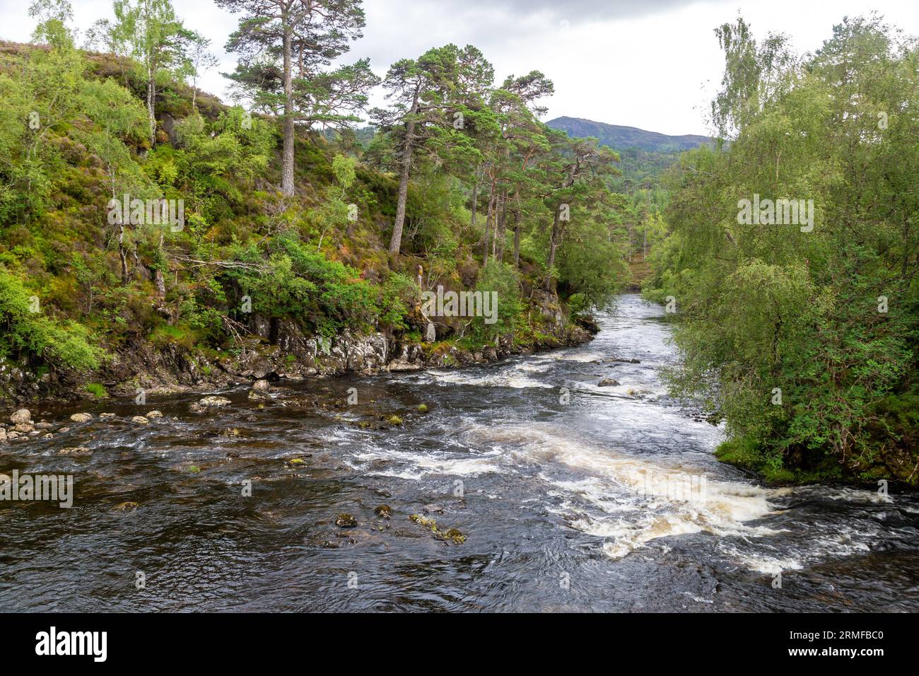 River Affric along the Affric Kintail Way Stock Photo - Alamy