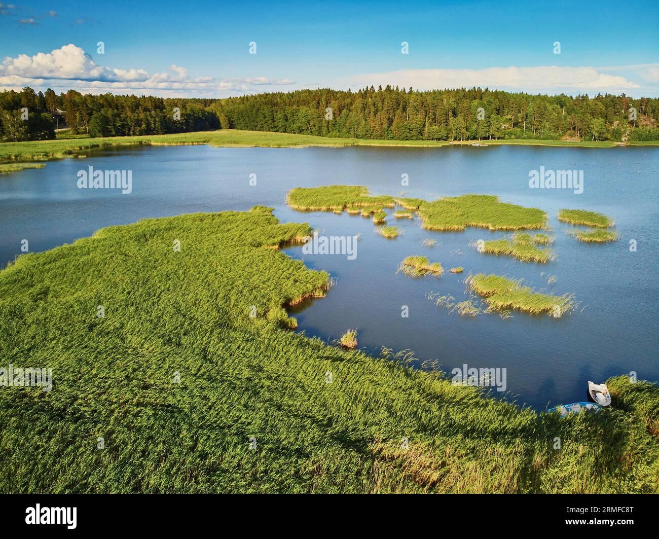 Green grass in the countryside hi-res stock photography and images - Alamy