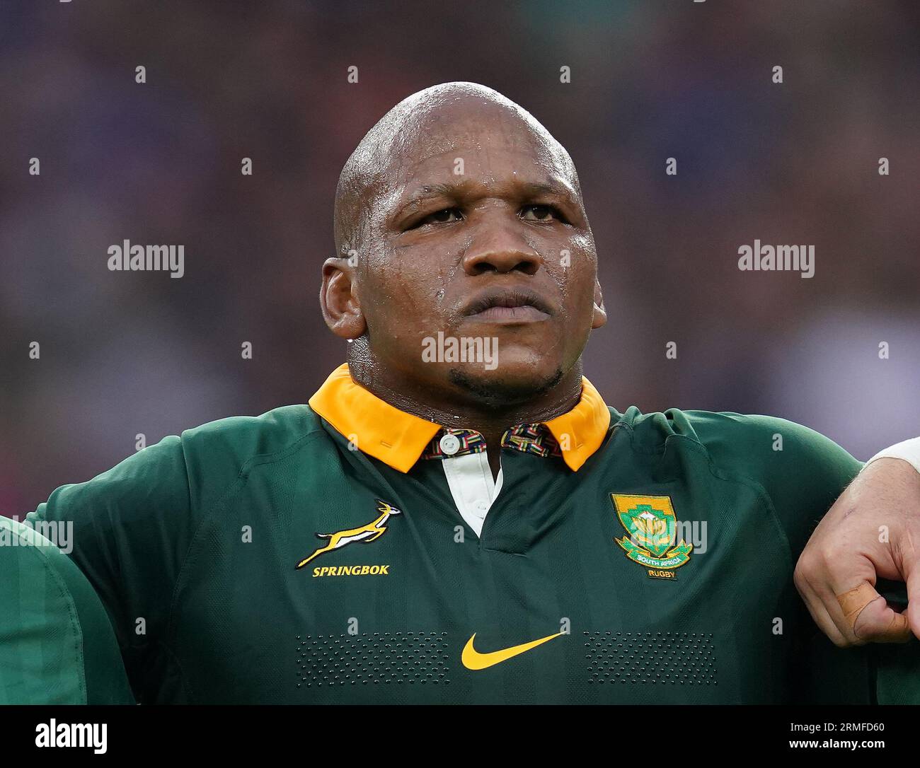 South Africa's Bongi Mbonambi ahead of the international match at ...