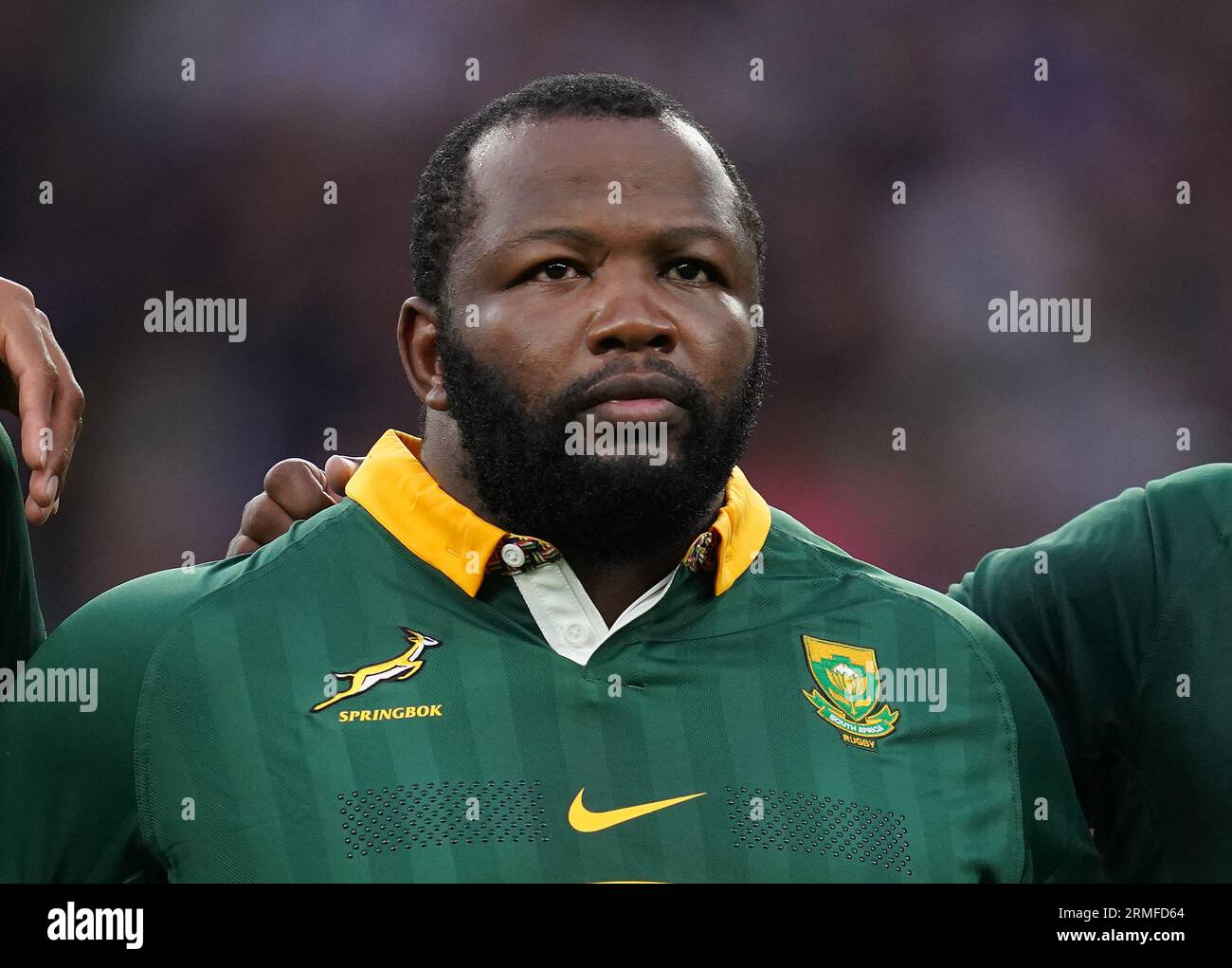 Ox nche springboks hi-res stock photography and images - Alamy